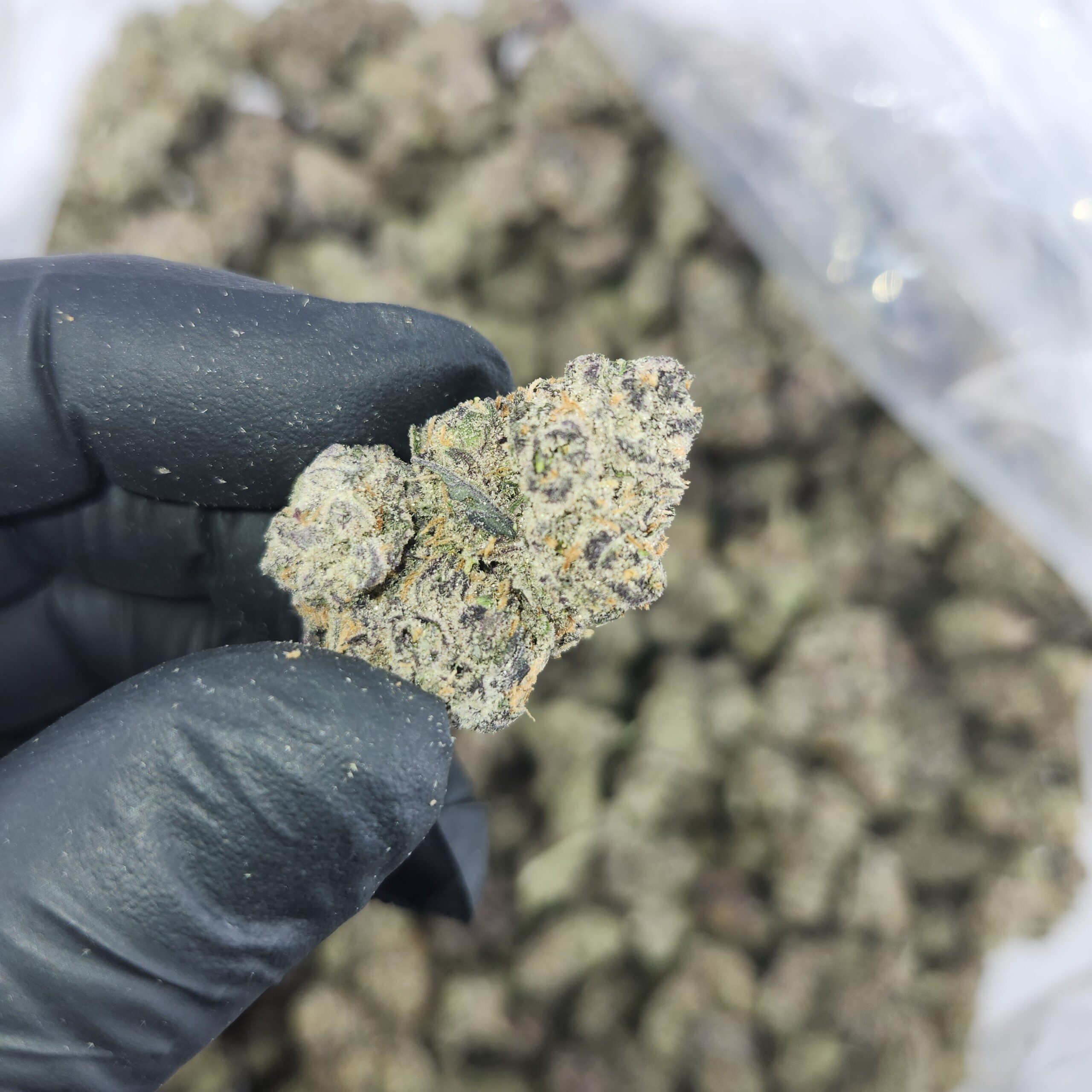 Shop Top Quality Slurty 3 Strain Online | Eighths and Ounces